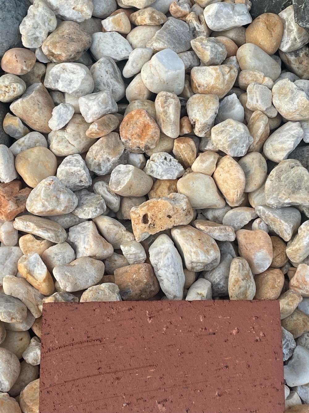 3/4" White Goose Egg